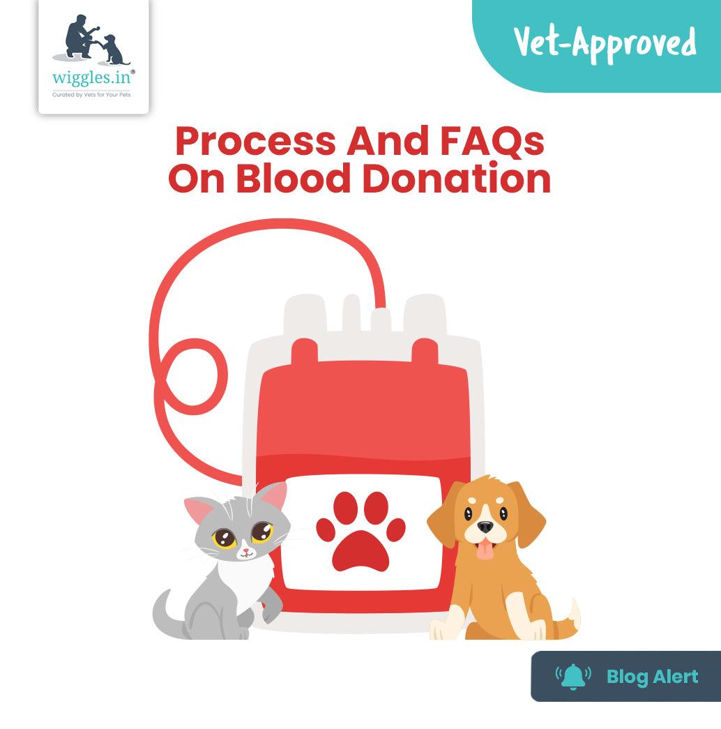 Process And FAQs On Blood Donation in Pets | Wiggles Blog