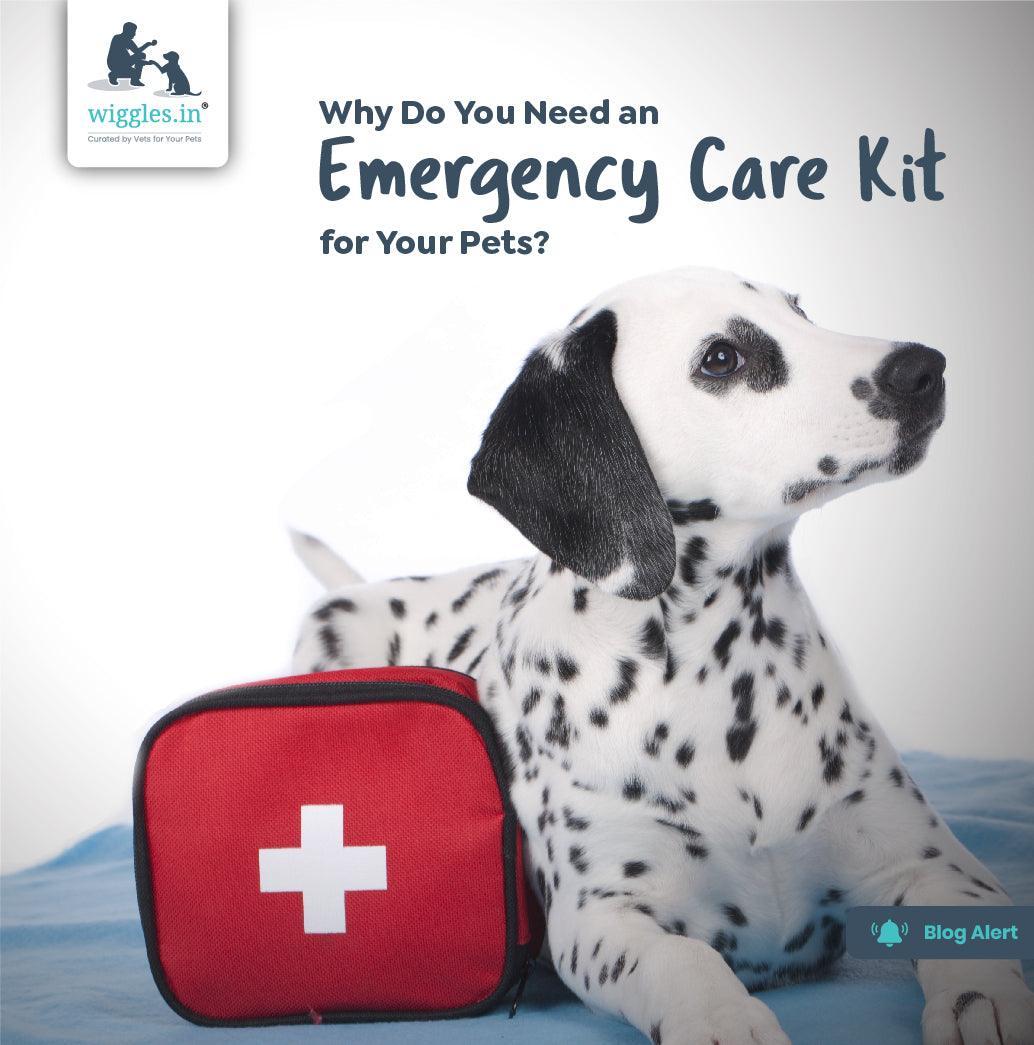 Importance of Emergency Care Kit for Your Pets | Wiggles Blog